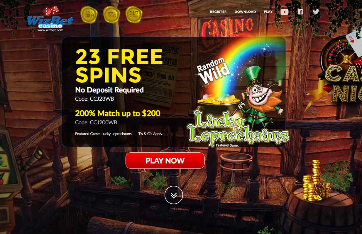 Renier Van Niekerk, portfolio and resume